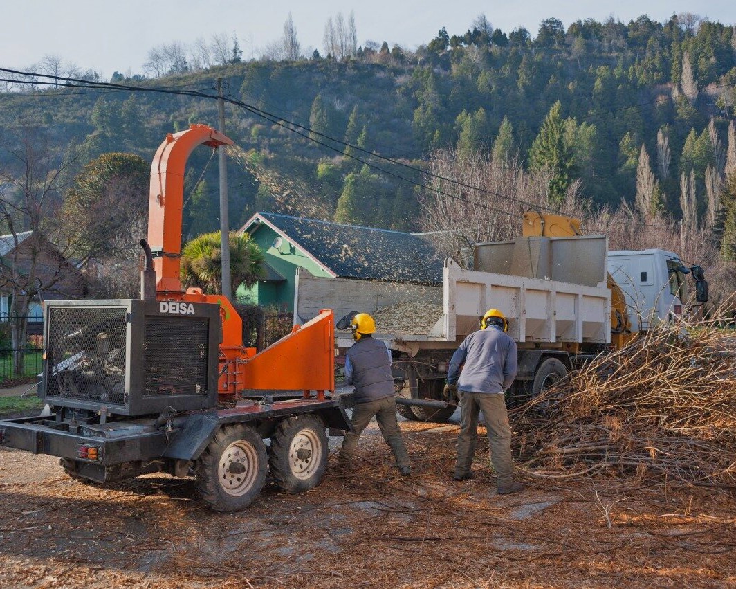 Maquinaria | Leon & Manada